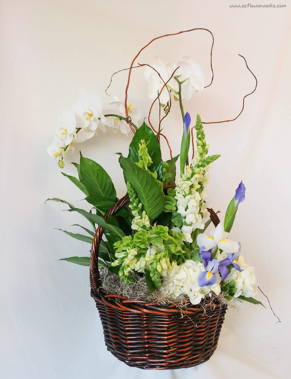 Plant Utopia – Flower Works LLC